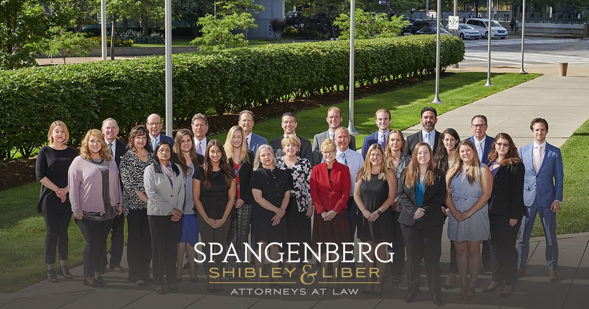Meet Our Legal Team | Spangenberg Shibley & Liber LLP